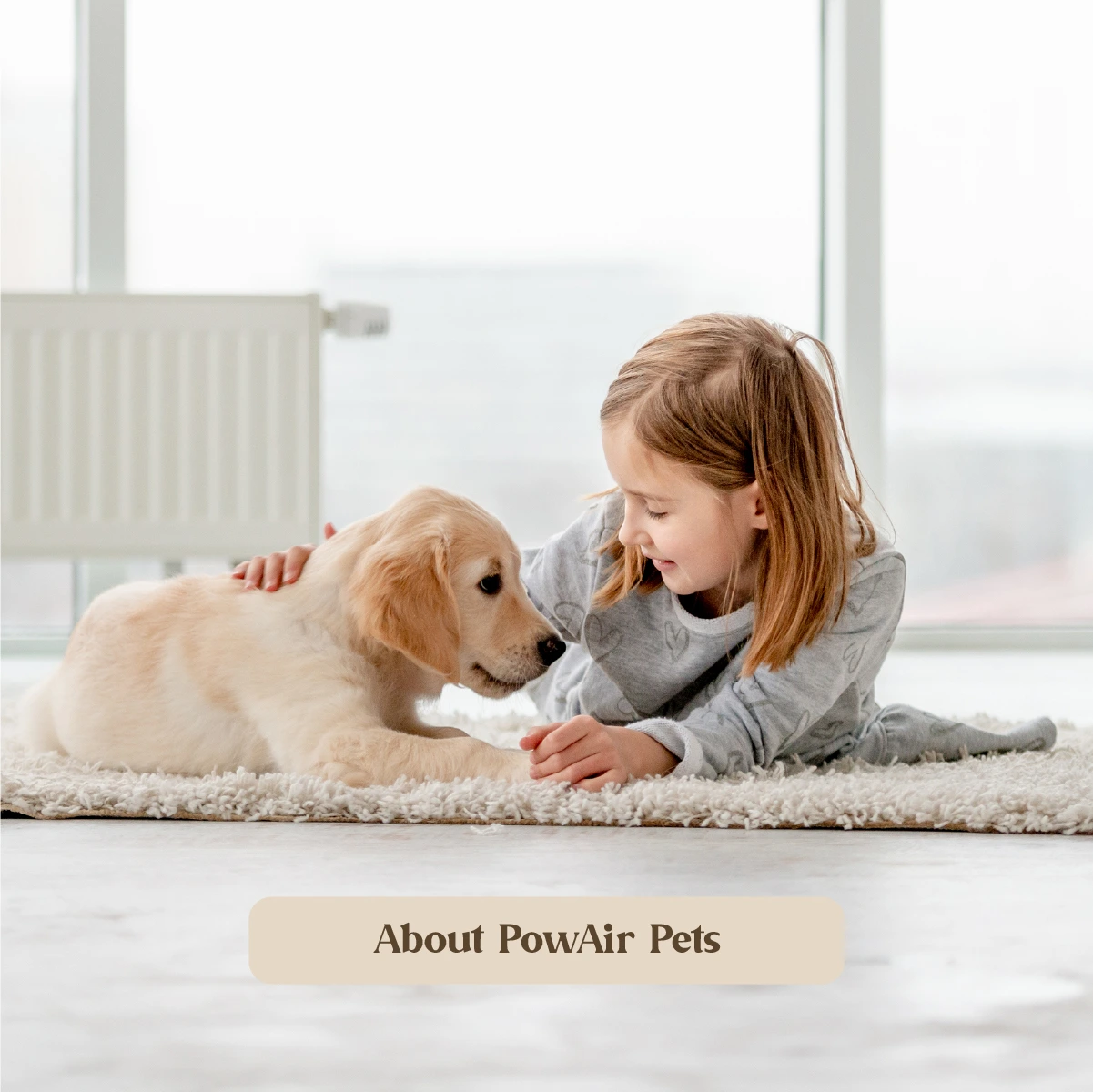 About PowAir Pets | A Non-Toxic & Pet Safe Odour Remover