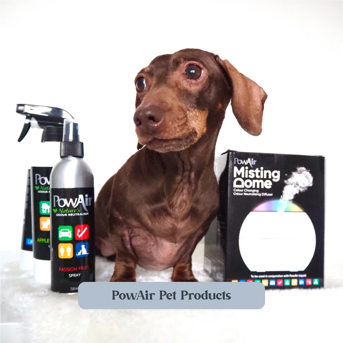 PowAir Pet Products | Natural Pet Odour Neutralisers