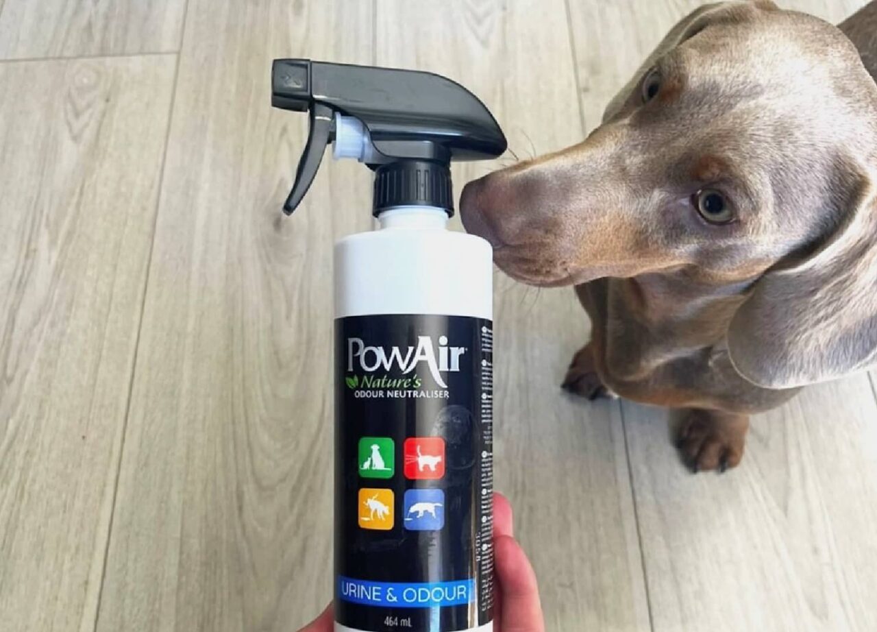 Pet Urine & Odour Remover | Easy Pet Odour Removal